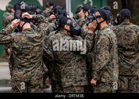 US Marine recruits prepare to enter the gas chamber during boot camp ...