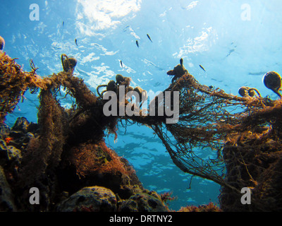 an underwater scenery with fishing nets and fish Stock Photo - Alamy