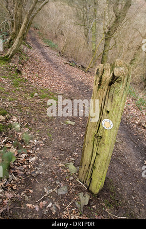 Sign post and dirt path along the Camino de Santiago toward Pamplona ...