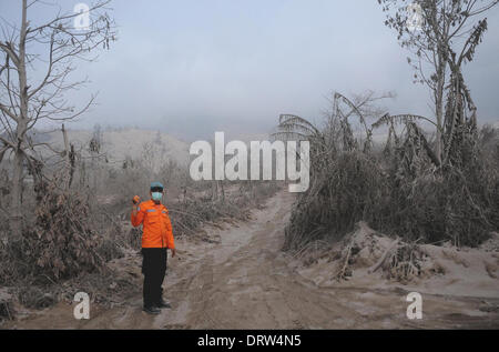North Sumatra, Indonesia. 2nd Feb, 2014. An Indonesian rescuer searches ...