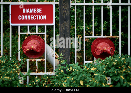 . Siamese Connection Stock Photo - Alamy