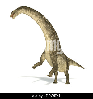 Titanosaurus dinosaur, photo-realistic and scientifically correct. Side ...