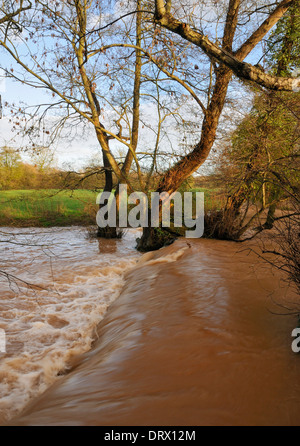 River Yeo & Weir at Congresbury, Somerset Stock Photo - Alamy