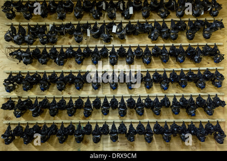 Gas masks hang from a wall at the gas training facility at the US ...