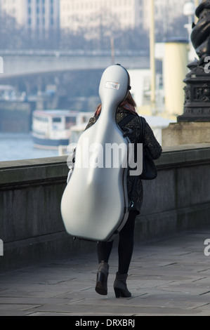 Cello case walking Stock Photo - Alamy
