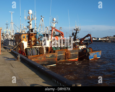 An assemblage of U.K. fisheries inshore fishing trawlers moored at ...