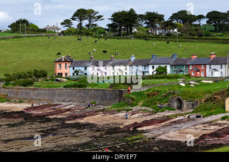 Row of houses at Roche's Point in County Cork, Ireland Stock Photo - Alamy