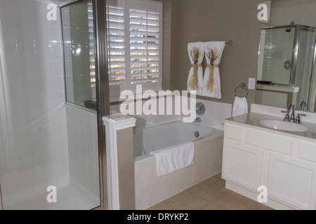 Master bathroom in mid size home in suburban neighborhood Stock Photo ...