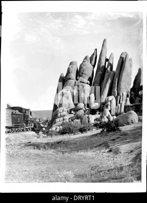 Vintage photo circa 1900 showing a flock of Riverina Peppin Merino ...