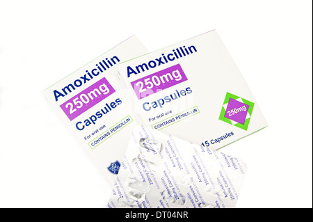 Boxes of Amoxicillin capsules antibiotics with penicillin to treat a ...