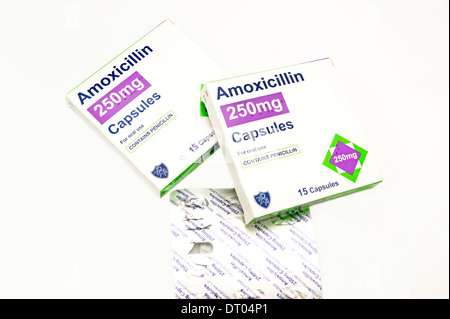 Boxes of Amoxicillin capsules antibiotics with penicillin to treat a ...