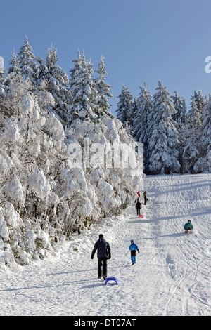 sledding on Kahler Asten near Winterberg, Sauerland, Northrhine ...