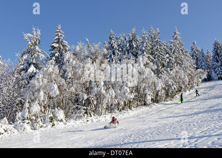 sledding on Kahler Asten near Winterberg, Sauerland, Northrhine ...