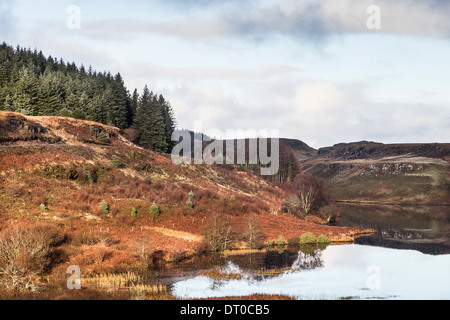 Loch an Torr, near Dervaig, Isle of Mull, Scotland Stock Photo - Alamy