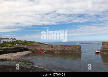 The harbour at Craster, Northumberland Stock Photo - Alamy