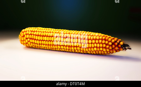 Corn, is a large grain plant domesticated by indigenous peoples in ...