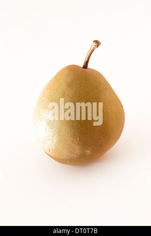 Close-up of Black Worcester pears on tree also known as 'Parkinson's ...