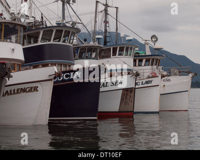 Seiner Fishing Fleet in Southeast Alaska Stock Photo - Alamy