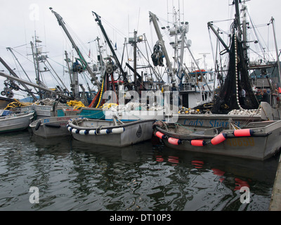 Seiner Fishing boats in Southeast Alaska Stock Photo - Alamy