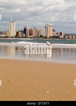 durban beach front scenes point developments, south beach, umhlanga ...