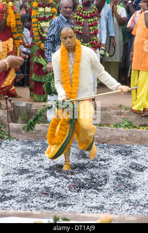 HINDU CULTURE FIRE WALKING BODY PIERCING CARRYING OF DIETYS, HONOUR OF ...