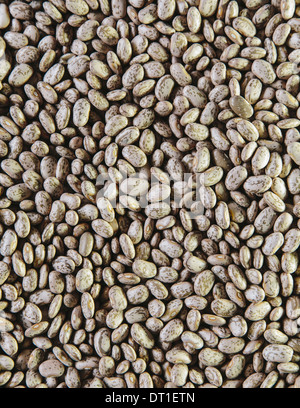 Group of Pulses Stock Photo - Alamy