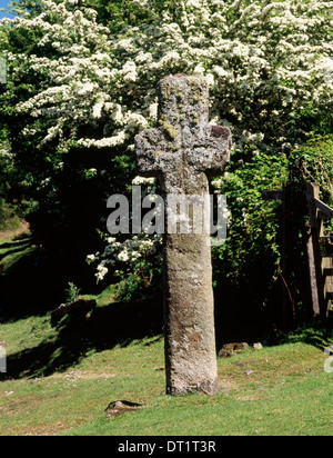 Granite cross on Dartmoor in beautiful golden summer evening light with ...