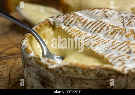 Harbison Cheese by Jasper Hill Stock Photo - Alamy