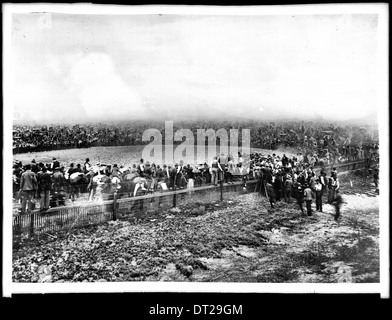 A photograph depicting jackrabbits captured in a corral during a rabbit ...