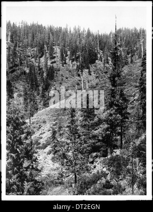 A photograph taken after a wildfire, showing the aftermath and ...