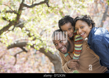 Sunshine and cherry blossom A father carrying his son on his shoulders ...