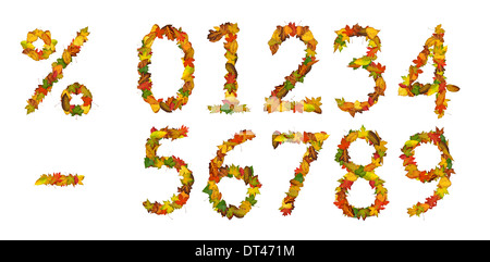 Numbers made of leaves Stock Photo - Alamy