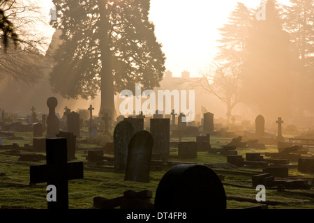 Misty morning at Wolvercote cemetery, Oxford Stock Photo - Alamy