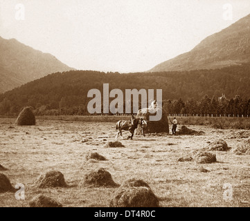 Dunoon Haymaking Victorian period Stock Photo - Alamy