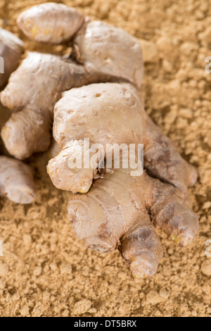 Fresh Ginger Powder (detailed close-up background picture Stock Photo ...