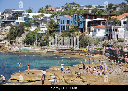 Fairy Bower in Manly with Shelly beach in the distance, Manly,Sydney ...