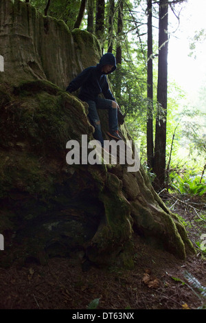 Sitting on the Stump Stock Photo - Alamy
