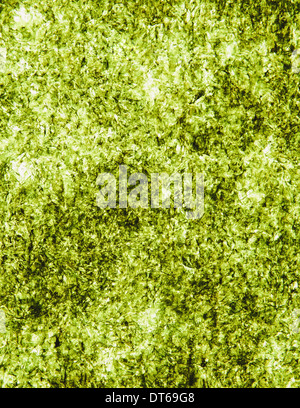 Dried Sheet Of Nori Seaweed, Japanese Cuisine Ingredient To Wrap Rolls ...