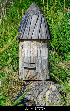 Nest of Wild Bees in the forest of Key Biscayne island (Miami area ...