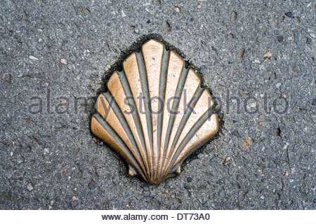 Camino de Santiago scallop shell Stock Photo - Alamy