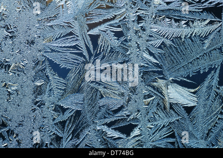 frost crystals on a window pane Stock Photo - Alamy