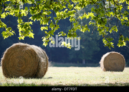 agriculture, straw bales, straw harvesting, agricultures, straw bale ...