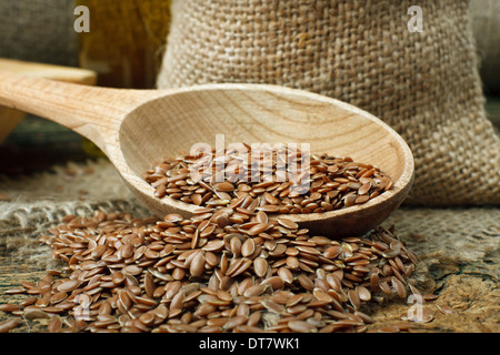 Linseed (Linum usitatissimum) on spoon, linseed, seed linen, linseed ...