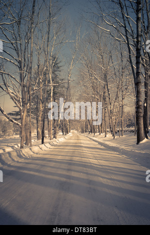 A long snow-covered, tree-lined road in the foothills of Alberta ...