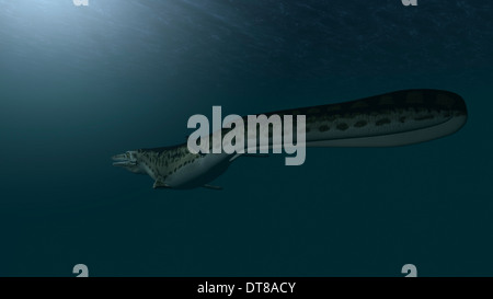 Mosasaur swimming in prehistoric waters Stock Photo - Alamy