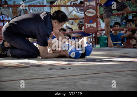 Muay Thai kick boxer receiving attention after a knock out blow Stock ...