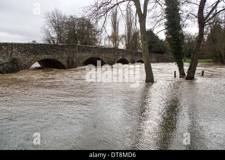 The flooded River Teme at Leintwardine, Herefordshire, England, UK ...