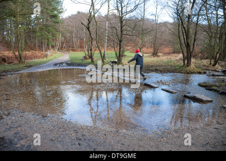 The stepping stones at Sherbrook Valley Cannock Chase Area Of ...