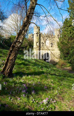Reigate Castle mock medieval gateway folly and crocuses in the dry moat ...