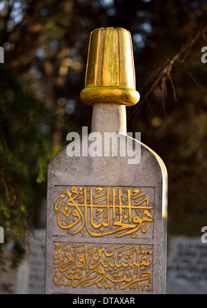 Ancient Gravestone in a muslim cemetery in the Mountains of the United ...